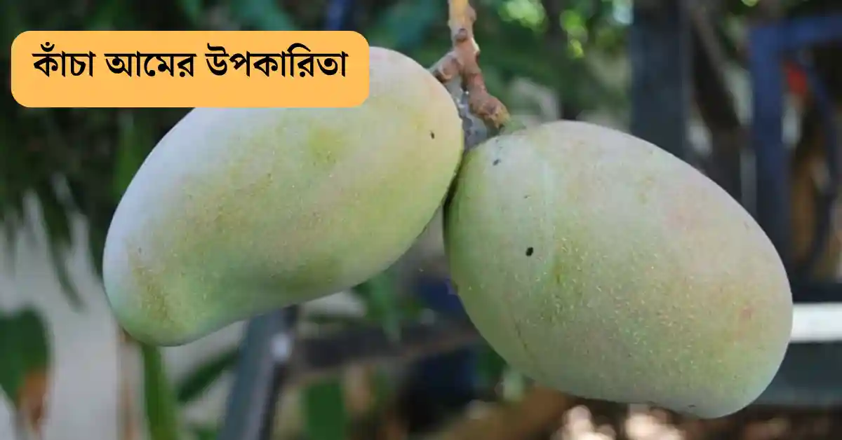 কাঁচা আমের উপকারিতা